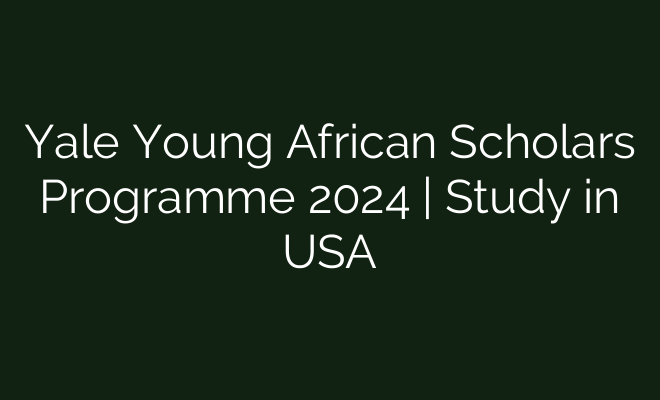 Yale Young African Scholars Programme 2024 | Study in USA - British Visa